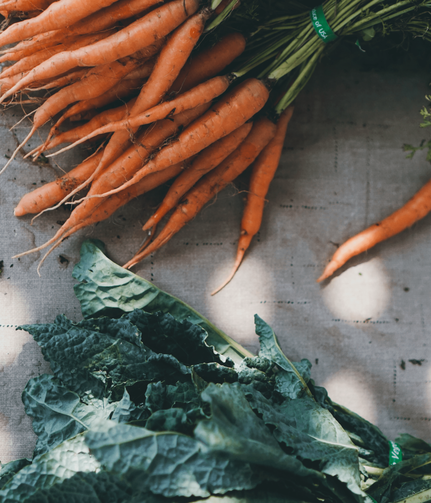 Grain-Free Lactogenic Foods to Help Boost Your Milk Supply | Mama Thrive™
